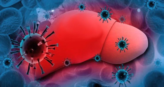 About Hepatitis B | Infections Managed | Hep B Treatment Fort Lauderdale